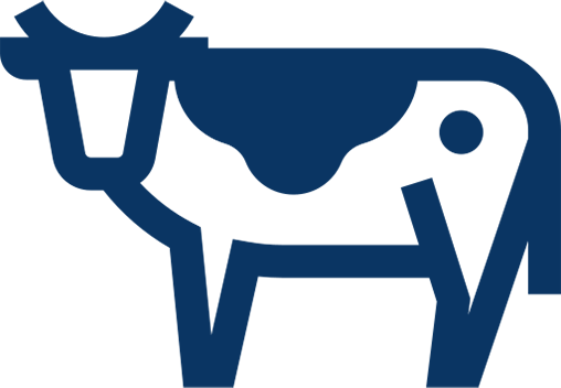 Veterinarian in Perth, Westport | Vet Near You | Perth Veterinary Clinic